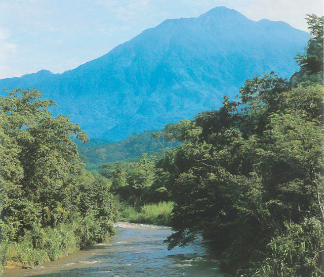 UN RIO CONTAMINADO: RIO SUCHIATE