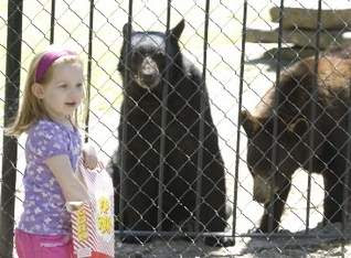 Hot News: popcorn park zoo