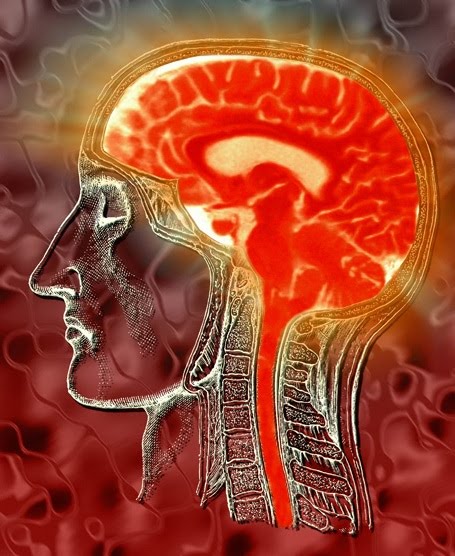 Optimal Health Resource: Omega-3 Fats Are Key to Good Health