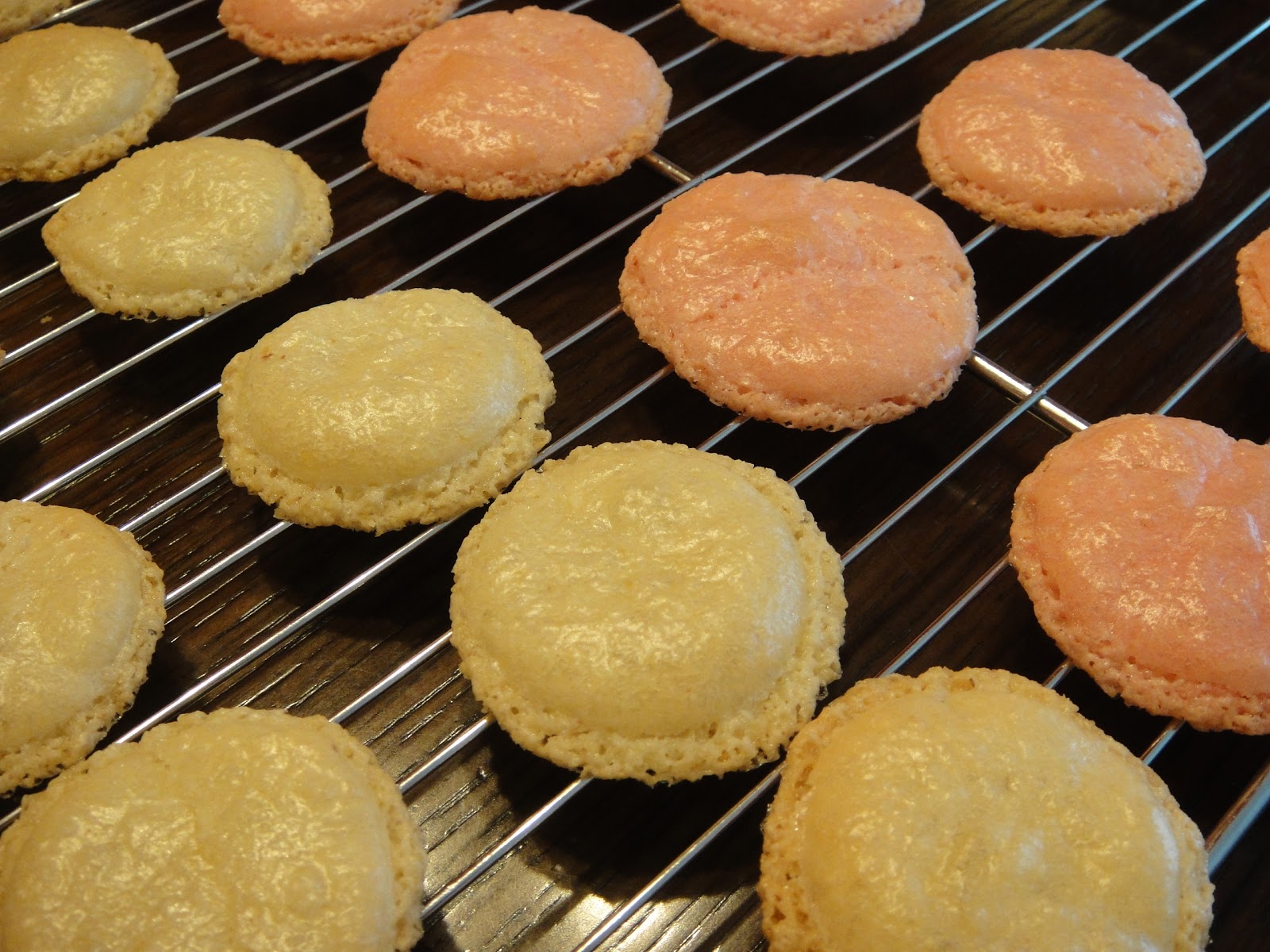Crumbs and Cookies: macaron take #1 - failure.