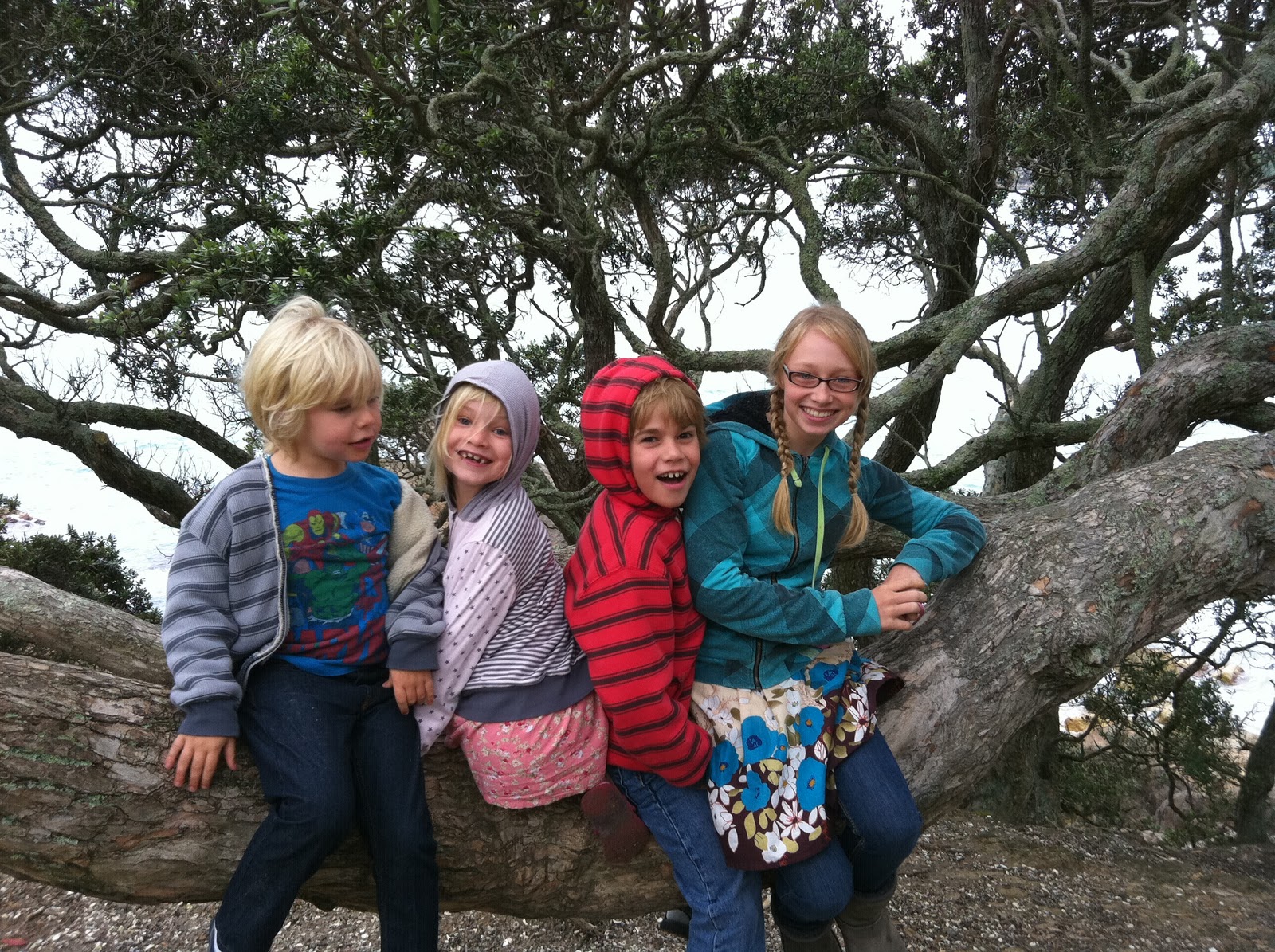 Lily Crowder: Crowder 2010 highlights.