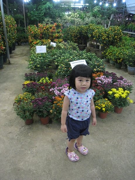 My Dollie Baby: Flower Market at Kovan