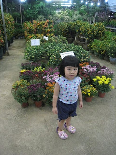 My Dollie Baby: Flower Market at Kovan