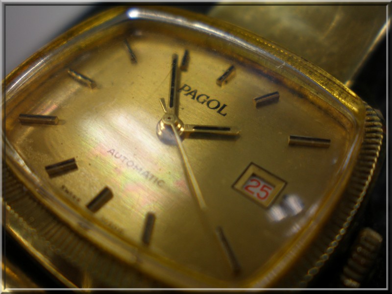 MyLocken Klasik: ..PAGOL for Ladies - SOLD