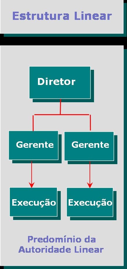 Estrutura Organizacional: GRAFICO LINEAR