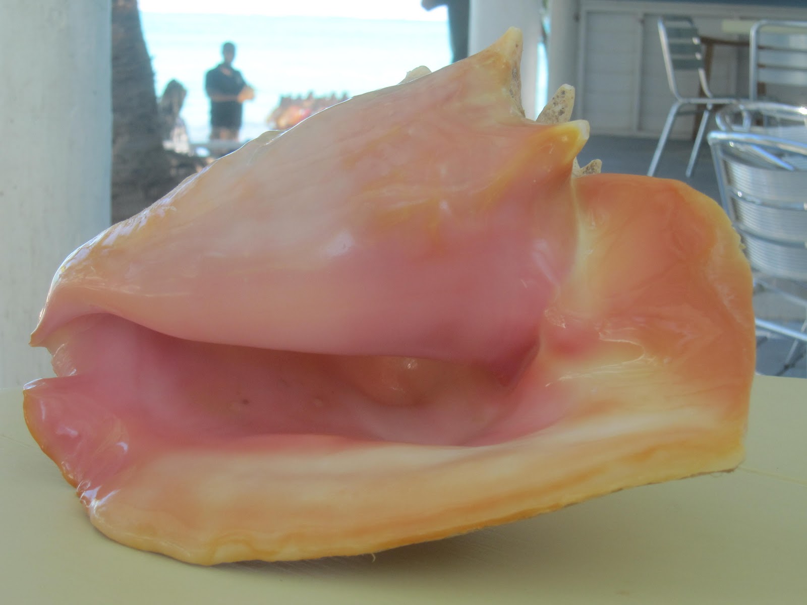 Following The Equator: Voyages of Equinox: Blue Hills and Da Conch Shack