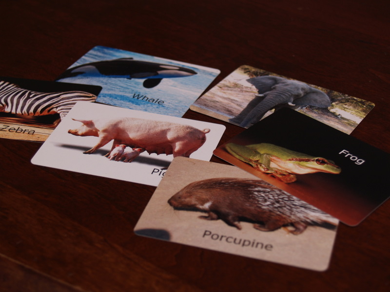 How to make flashcards for your kids - Housewife Eclectic