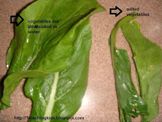 Teaching Kids With Cooking: Why do plants wilt? A science lesson in the ...