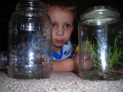 What I Live For: Summer Fun: Bug Jar