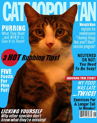 Two Great Cat Magazine Covers
