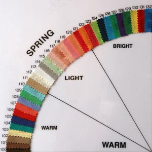 LeLe Floral: Flowers/Colours In Season