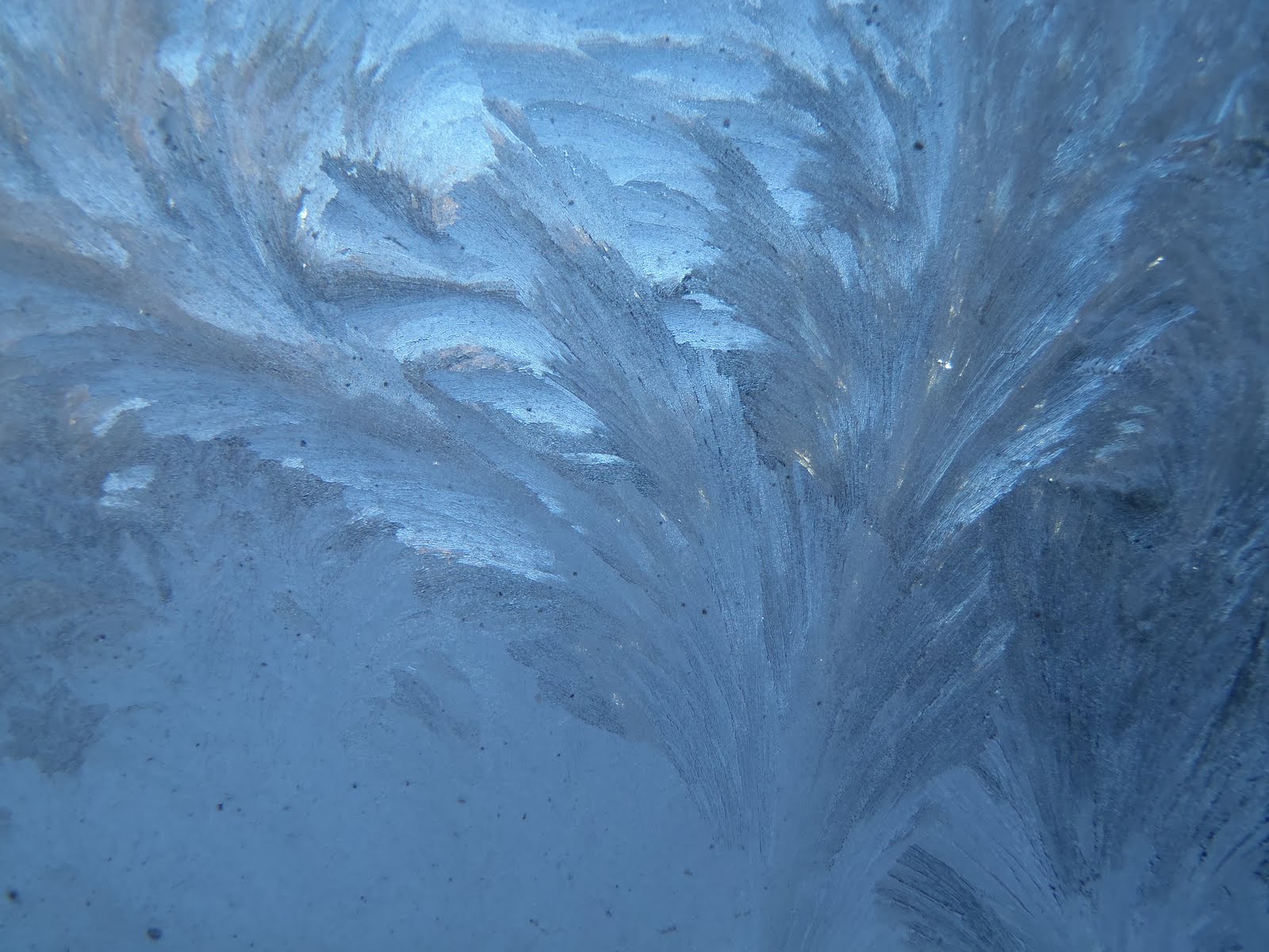 ForeverYoung: Ice Patterns on the Windows