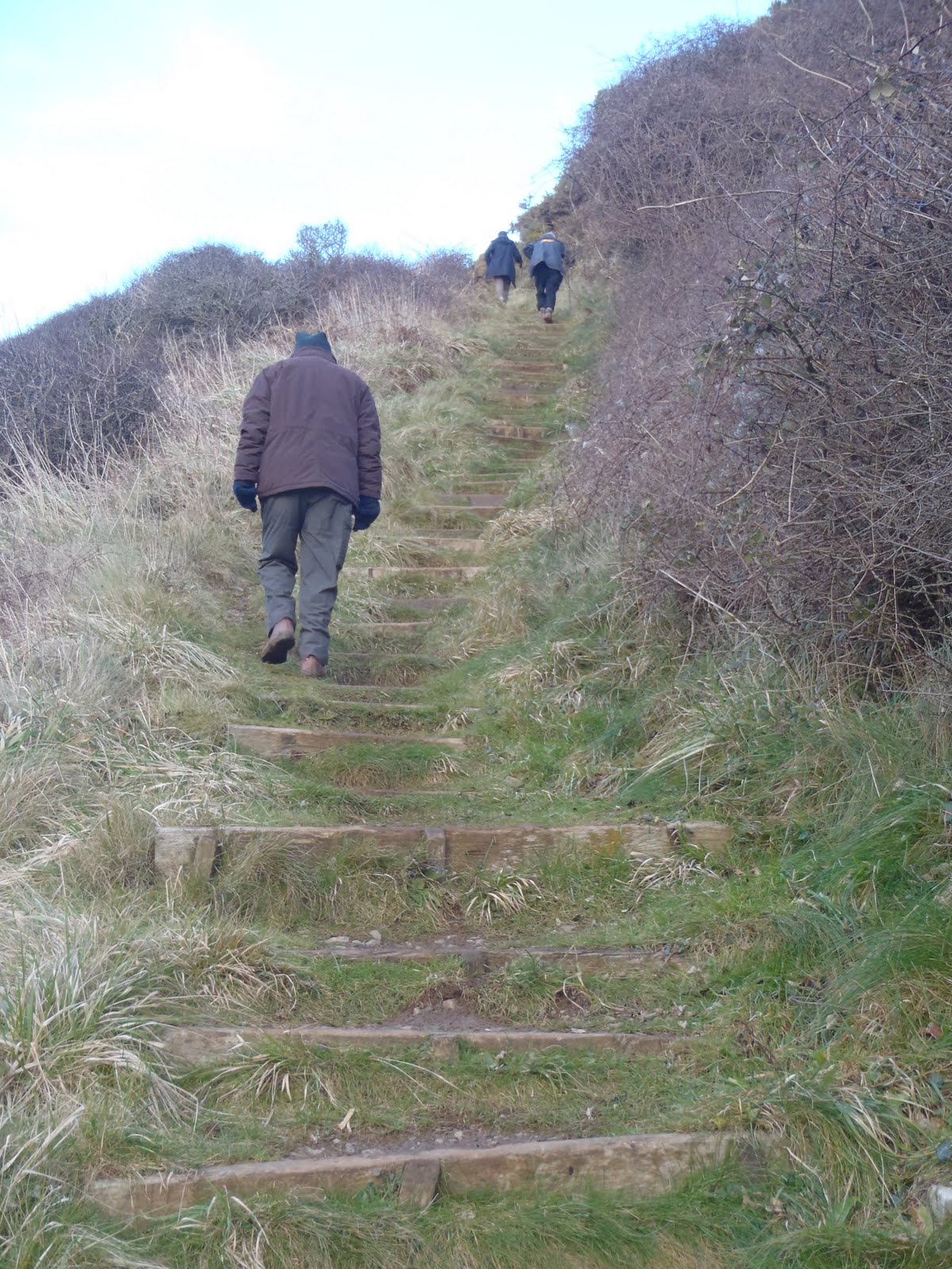 ForeverYoung: Lydstep Head