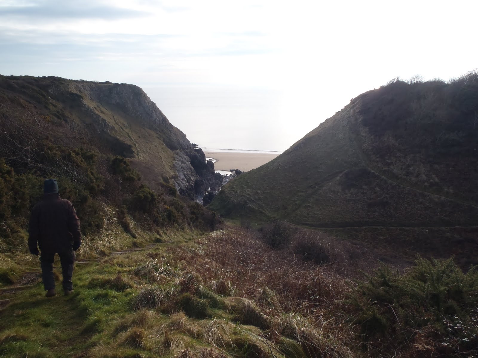 ForeverYoung: Lydstep Head