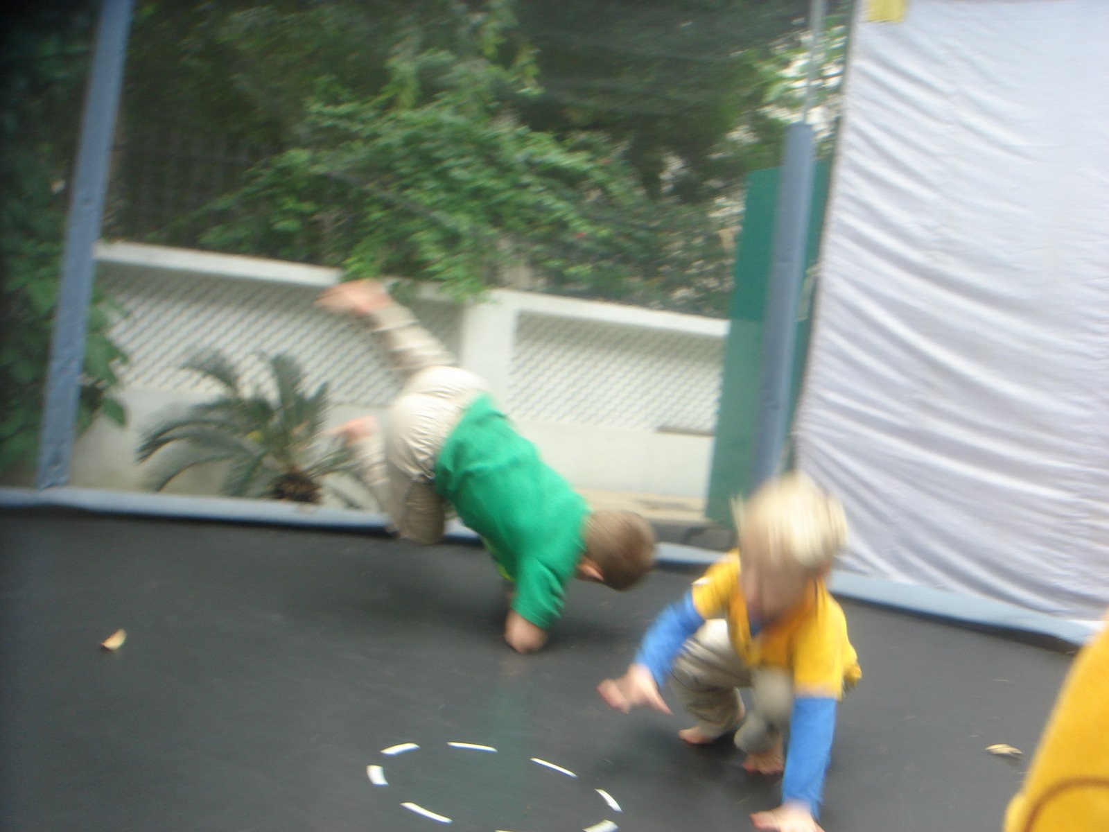 Adventures In Nuttall Land: Trampoline fun on Thanksgiving afternoon