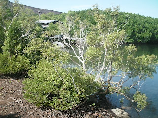 Malum Nalu: Pictures of Bootless Bay, Port Moresby, Papua New Guinea