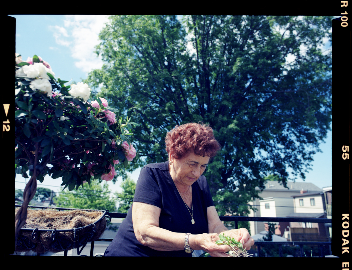 Fusion Of Effects: [Un]Discovers: Franco Deleo