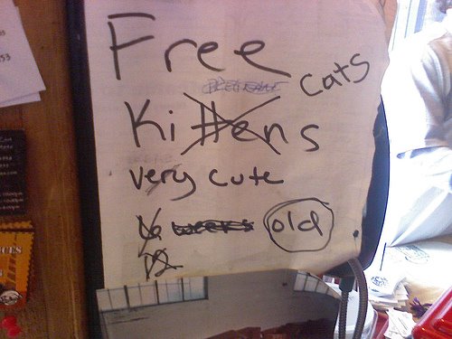 Veterinary Rescuer: Free Kittens...Free Older Kittens...Free Cats ...