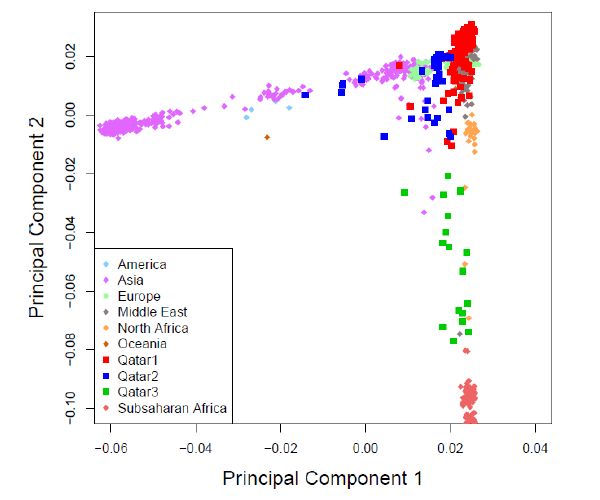 Dienekes’ Anthropology Blog: Genetic structure of Qatar (Hunter-Zinck ...
