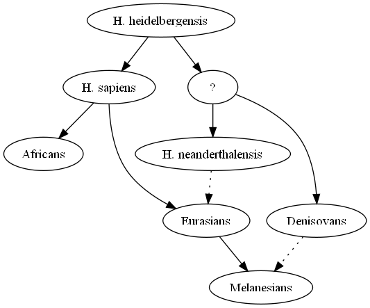 Dienekes’ Anthropology Blog: Is multi-regional evolution dead?