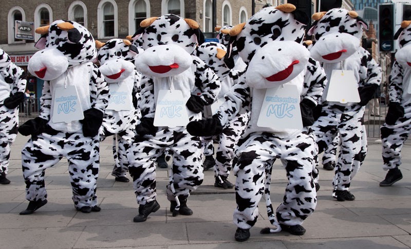 Fresh Eyes On London Sexy Cows