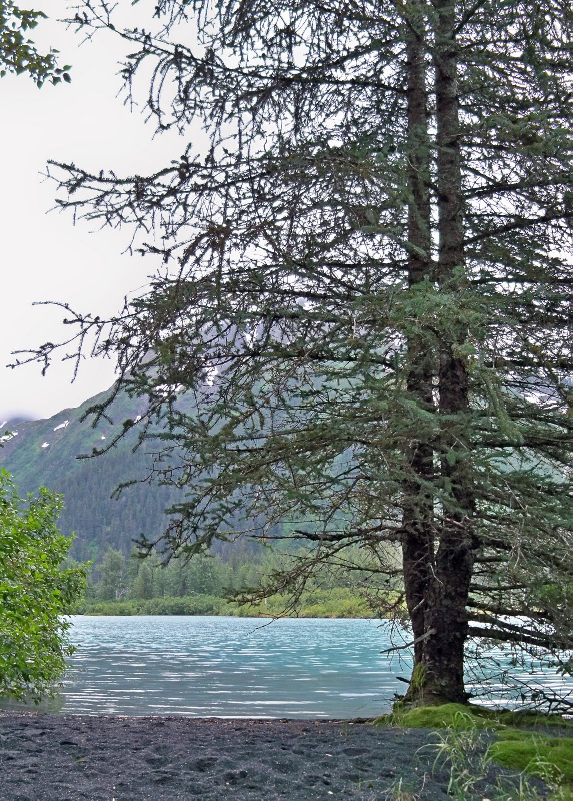 cake batter & paper scraps: Alaska: it's love/hate thing...