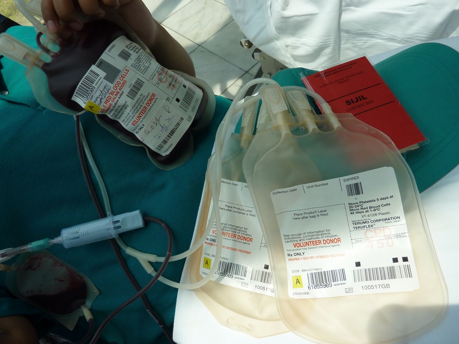 Mencari Sesuatu Untuk Dipandu: :: Derma Darah