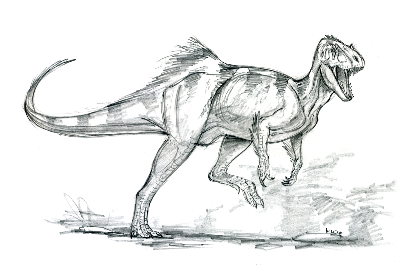 Concavenator Coloring Page Coloring Pages