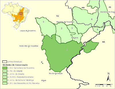 Wildbirds Broadcasting: Discovery of Piculet Woodpecker Conveys ...
