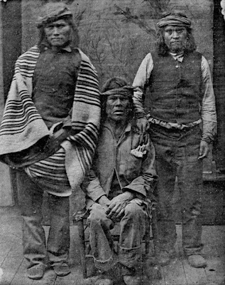 Wildbirds Broadcasting: Native Language Dictionary for Wildbirds ...