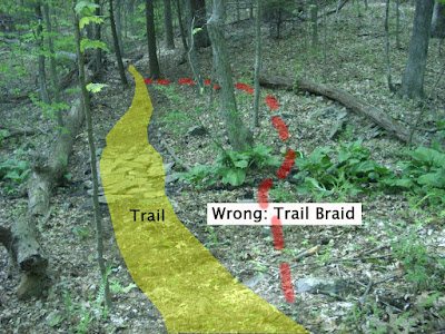 Paugussett State Forest - Upper Block: First Trail Braid