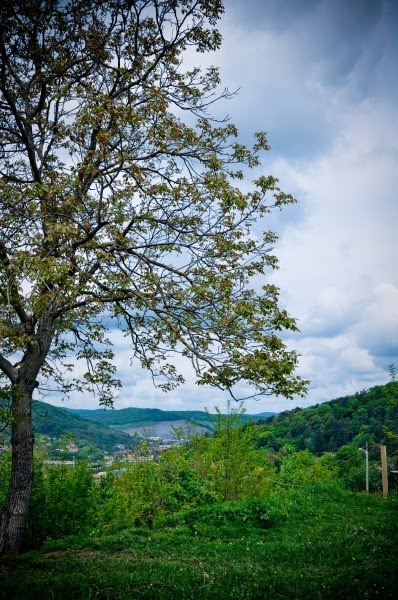 Sighisoara Transilvania - Partea 9 Pe dealuri - Dia's Blog - Dianora.ro