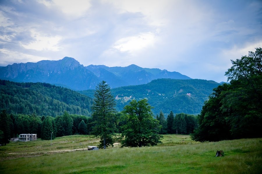 Platoul Trei Brazi Predeal Valea Prahovei Brasov - Dia's Blog - Dianora.ro