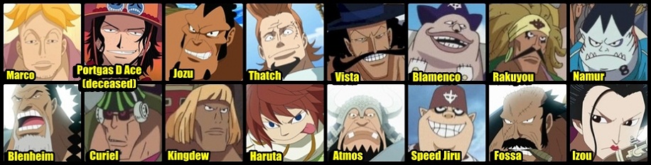 One Piece Database: Komandan Divisi Shirohige