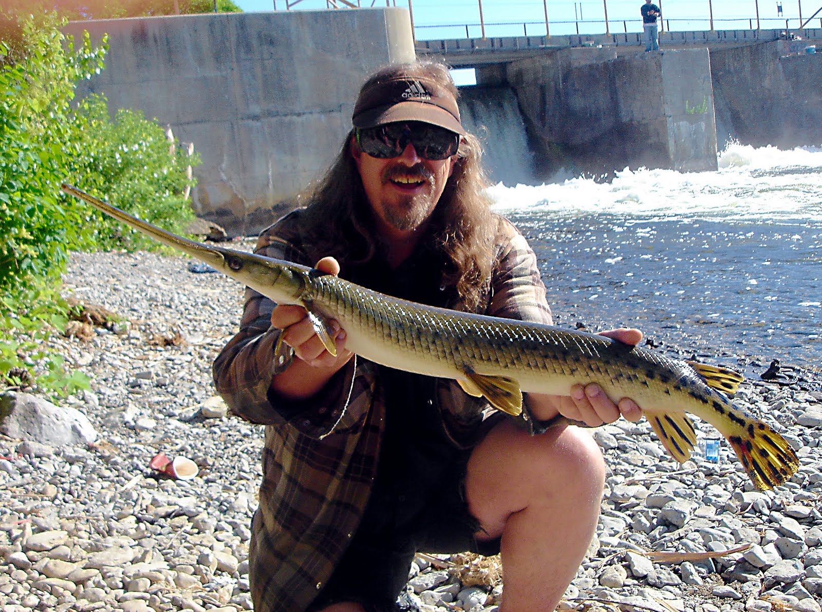 Dead Fisher: Opportunity Knocks, Unusual Opportunities Hammer!