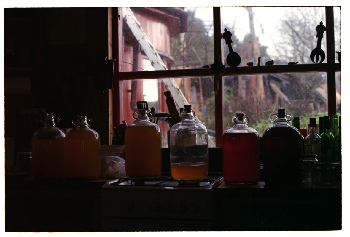 London Living: FINDHORN