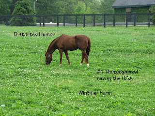 You're Invited to Travel With Us To See The USA: Lexington, Kentucky ...