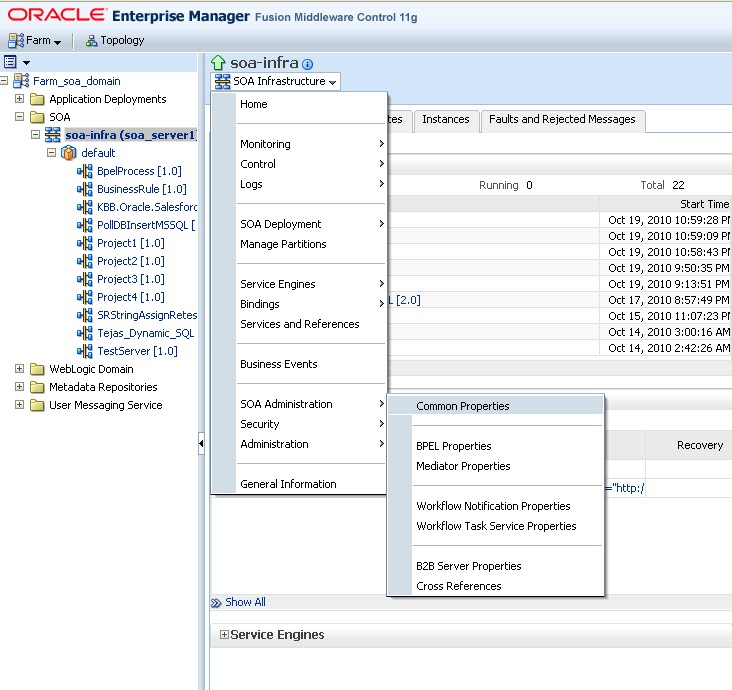 Learning SOA: October 2010