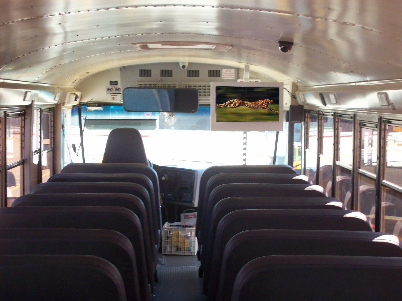 Bus-Ed-Safe-TV: Bus-Ed-Safe-TV