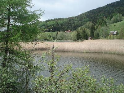 Murau,die Mur,das Murtal - mehr davon!