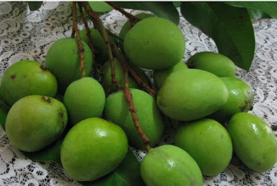 Apa Yang Difikir dan Terfikir: Buah mangga...so nice