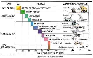 Oil and Gas: Geologic Timeline