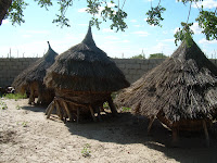 Positive Solutions: Namibia 2010: Spring Break 07- ROOOAD TRIP!