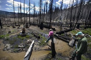 2NE ;> ***: Causes and effects of Human Activities in the Environment