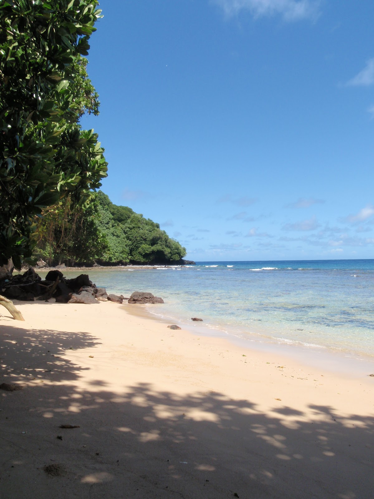 Looking at Orion Upside-Down: Fagatele Bay National Marine Sanctuary