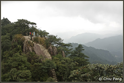 Life Discovery: Flora in Nanling, Guangdong (Part 1)