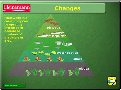 -Anzz- Science blog~~: Energy pyramid