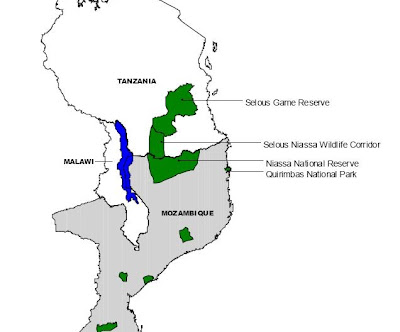 Serra Mecula: Niassa Carnivore Project - (NCP)