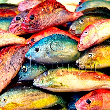 Art Is A State: Merry Marzipan, to you