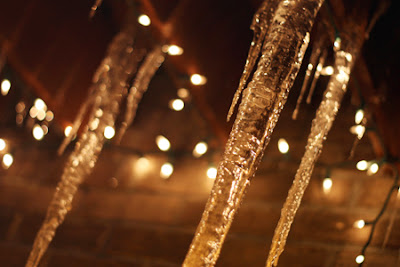 windshield diaries: icicles